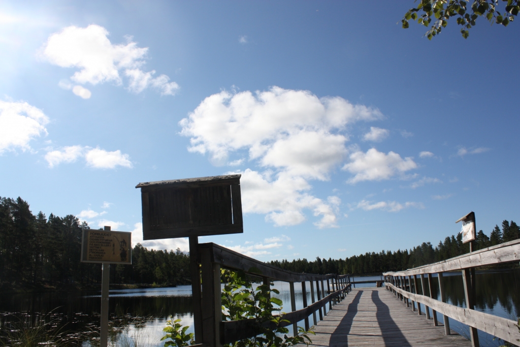 Majtjärn Venjan | Lättillgängligt fiske | Mora Outdoor