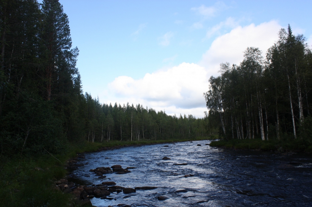 Ogströmmen Venjan | Rinnande vatten med naturbestånd | Mora Outdoor