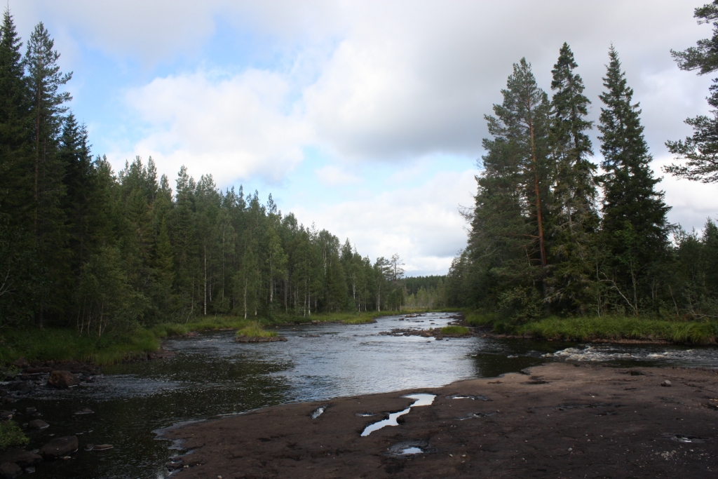 Ogströmmen Venjan | Rinnande vatten med naturbestånd | Mora Outdoor