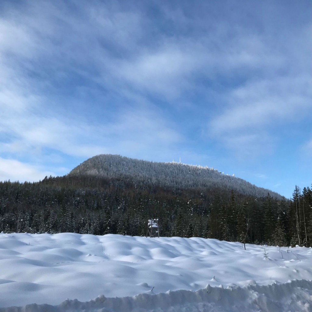 Gesundaberget längdskidor | Längdskidor | Mora Outdoor