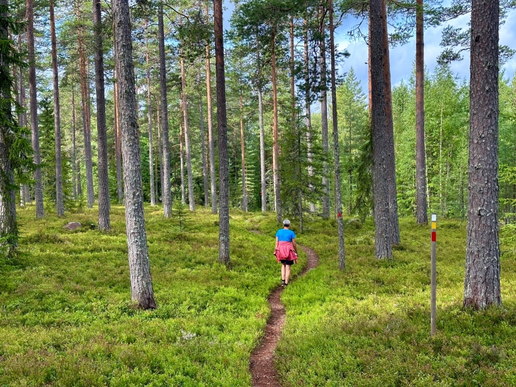 Gopshus - 6 markerade stigar/vandringsleder | Löpning | Mora Outdoor