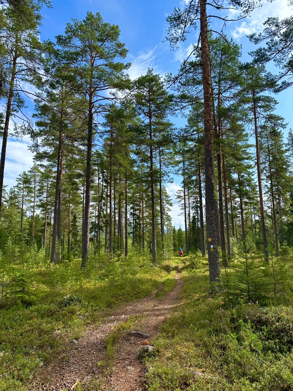 Gopshus - 6 markerade stigar/vandringsleder | Löpning | Mora Outdoor