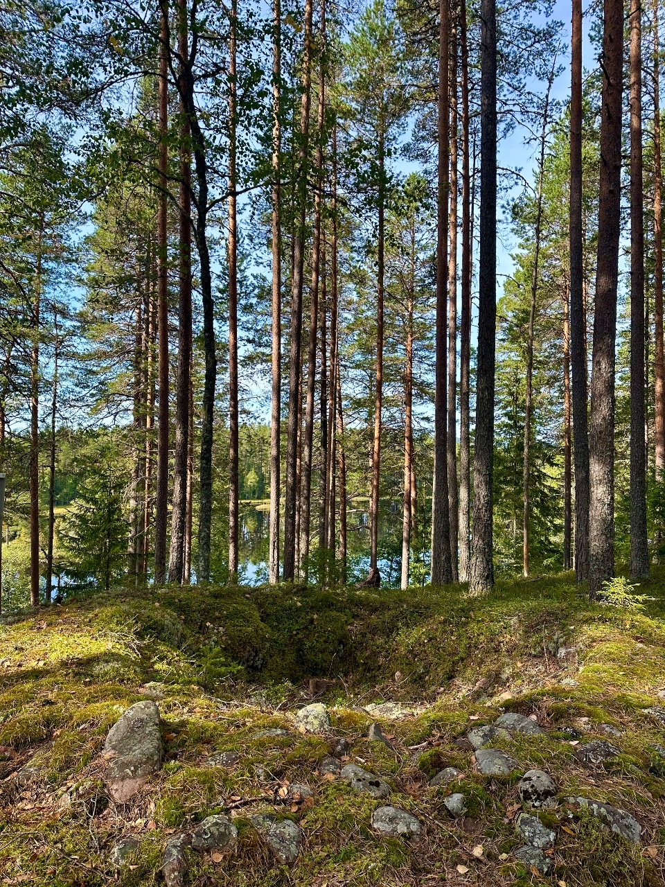 Haftahedarna Malung | Löpning | Mora Outdoor