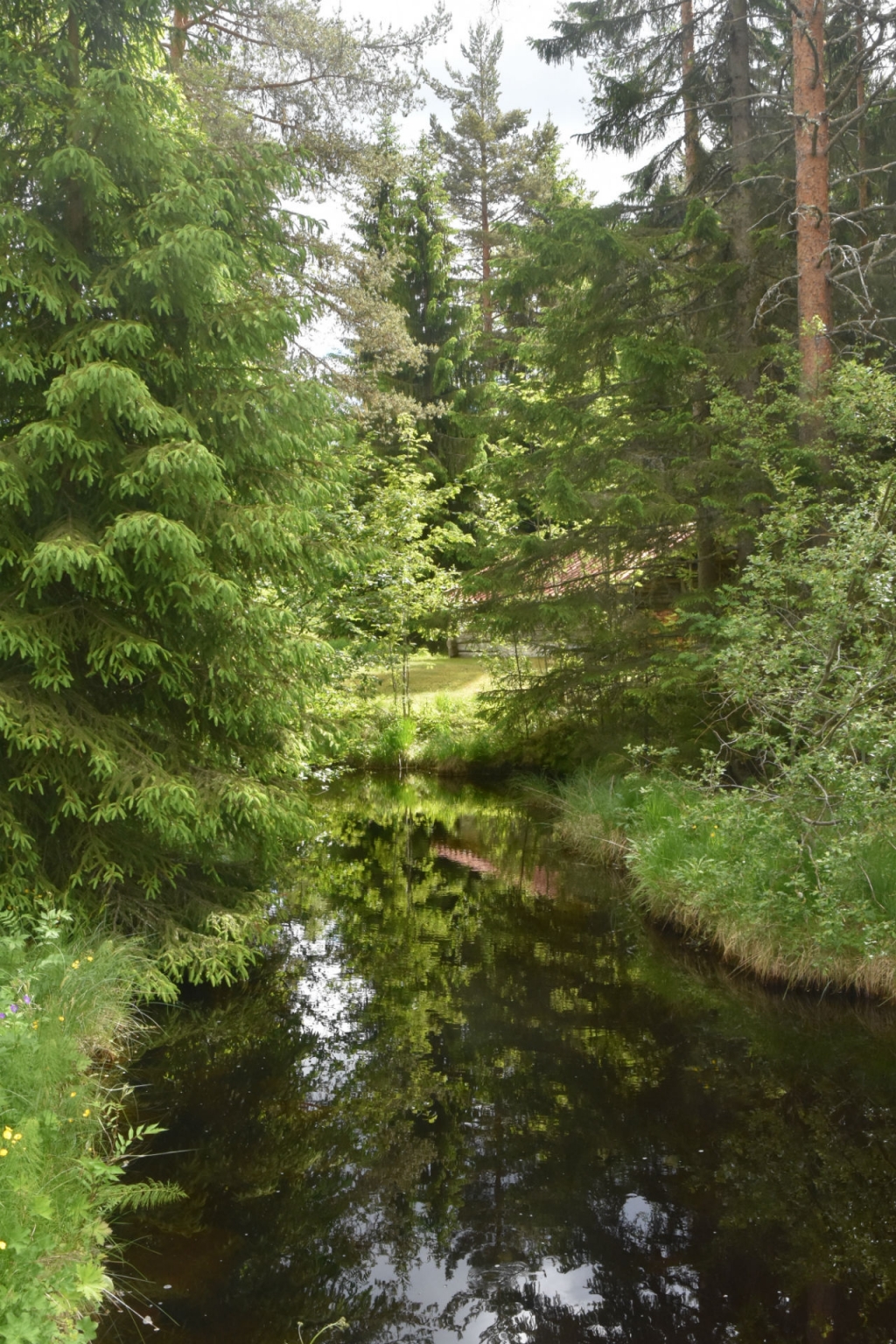 Rossberg | | Mora Outdoor