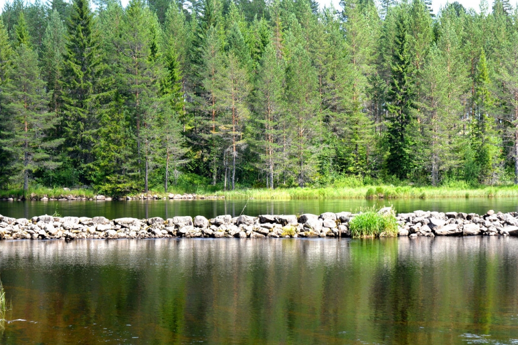 Vanån, Södra och Norra Venjan | Rinnande vatten med naturbestånd | Mora ...