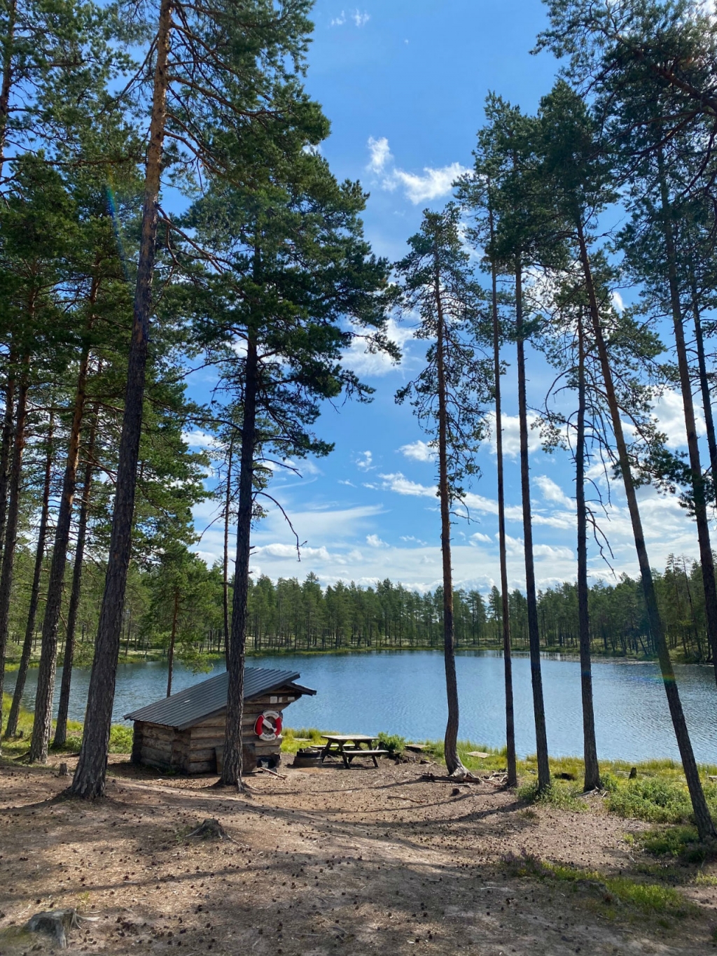 Vasaloppsleden tur och retur, MTB Venjan | Mountainbike | Mora Outdoor