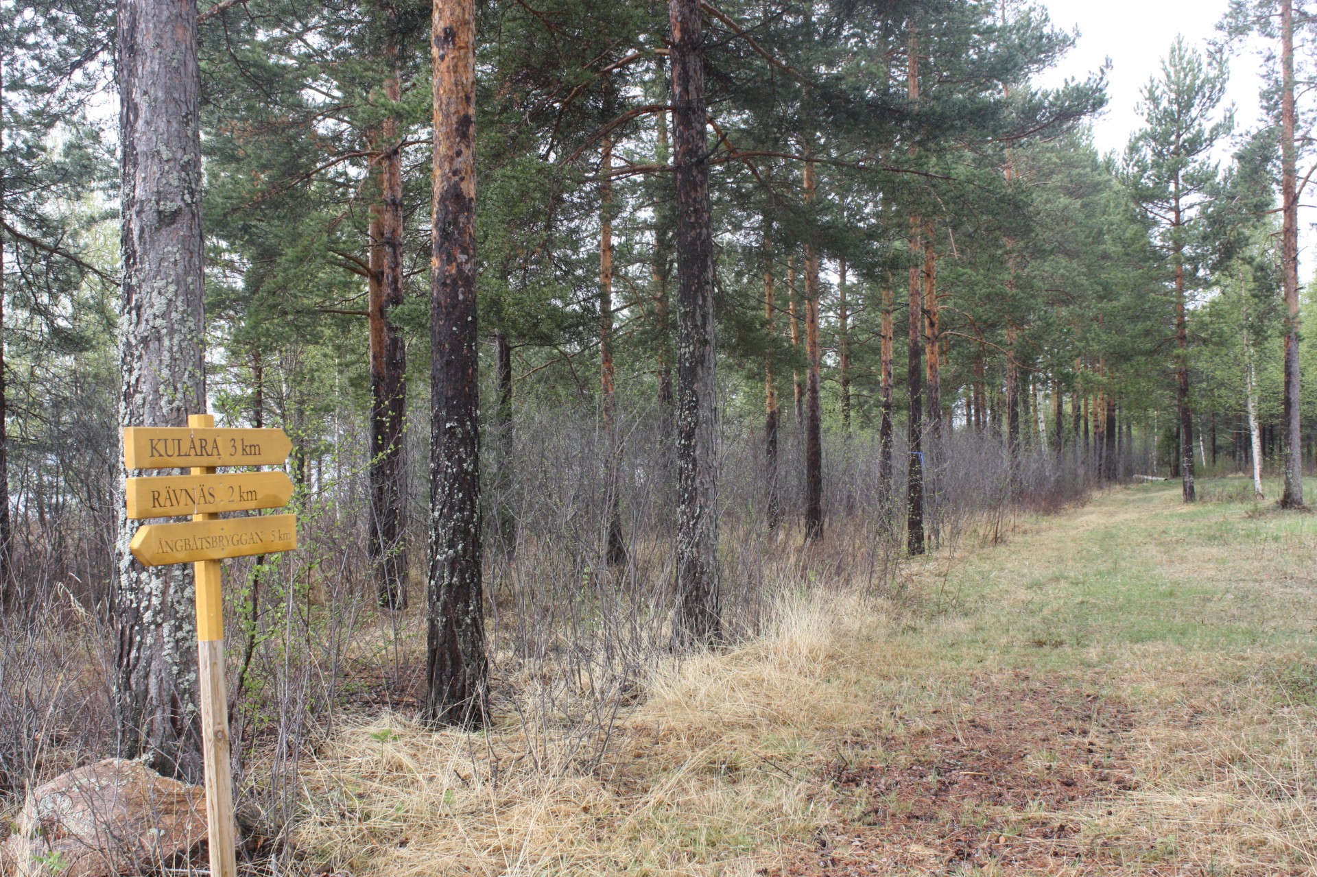 Siljansleden, Nybron till Fryksås | Löpning | Mora Outdoor